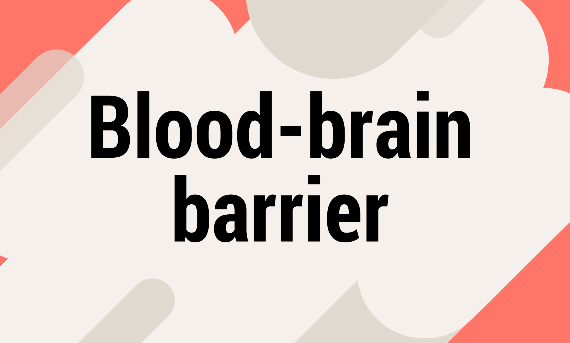 What Is Blood Brain Barrier MS Dictionary Living Like You What Is Blood Brain Barrier MS Dictionary Living Like You